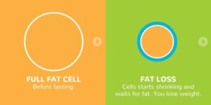Weight loss plateaus and the whoosh effect | SuperFastDiet